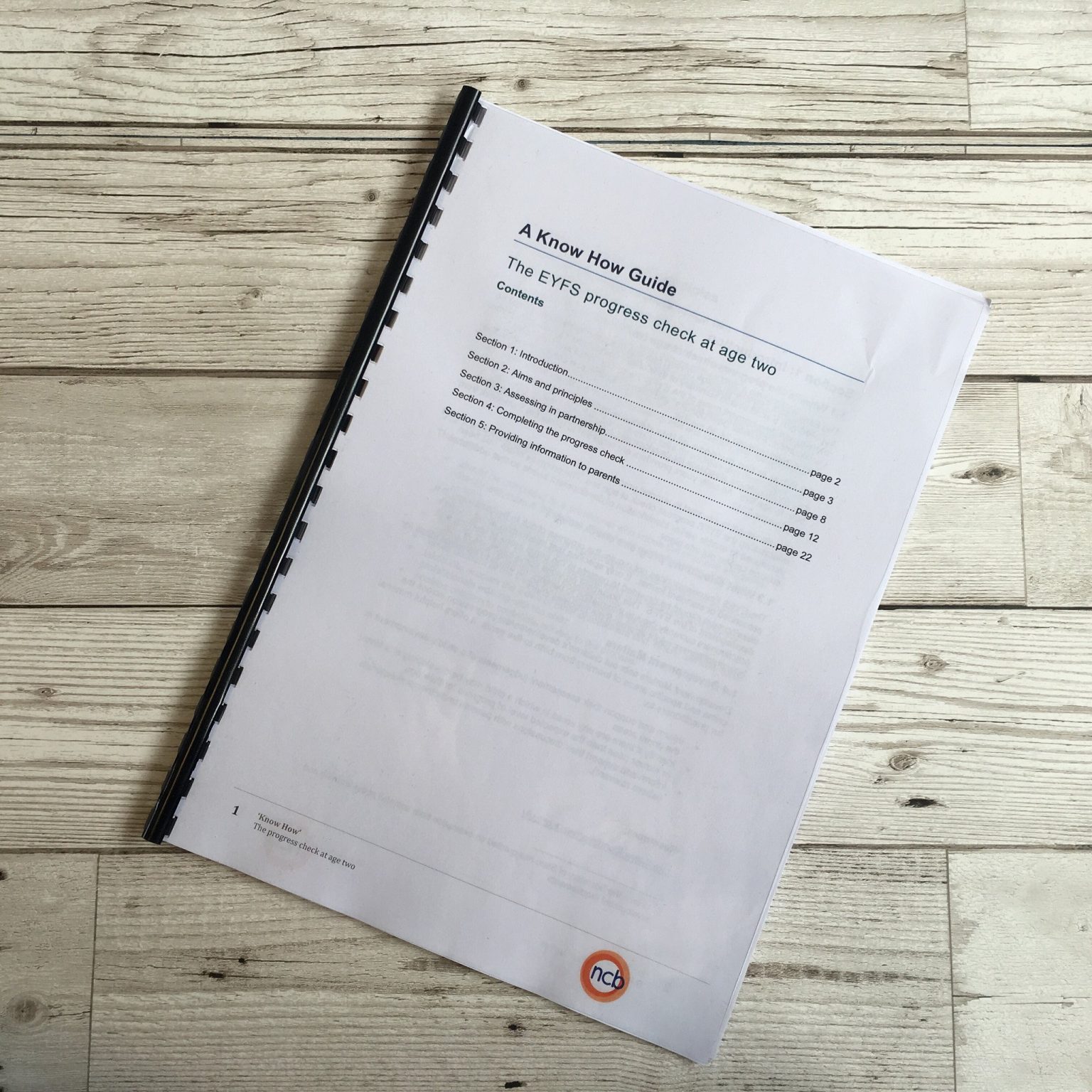 Guidance On Two Year Progress Check - Piggledots