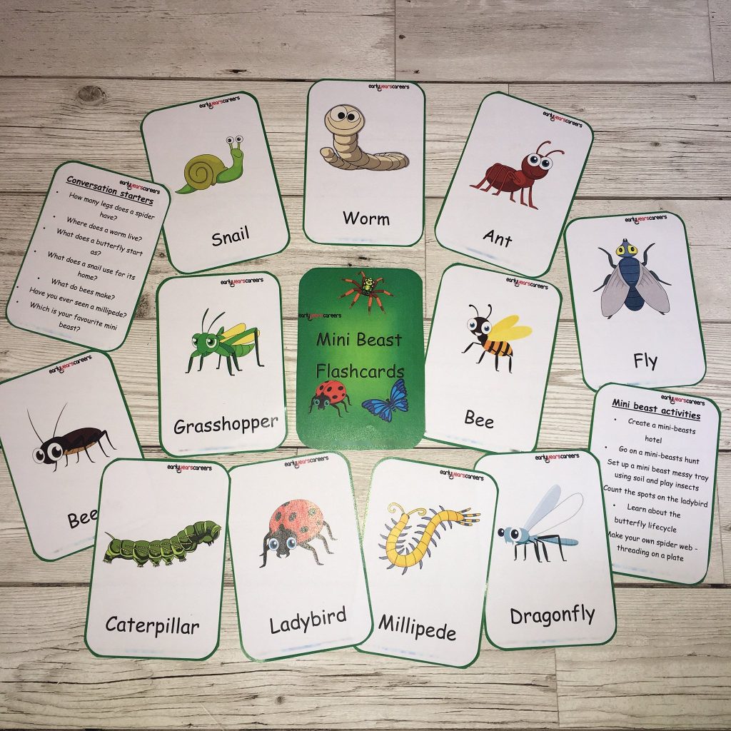 Mini Beast Flashcards - Piggledots